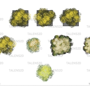 Plant Top View, 2D Landscape Clipart in PNG - Etsy