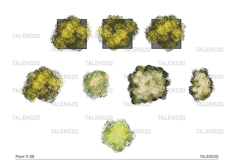 Plant Top View, 2D Landscape Clipart in PNG - Etsy