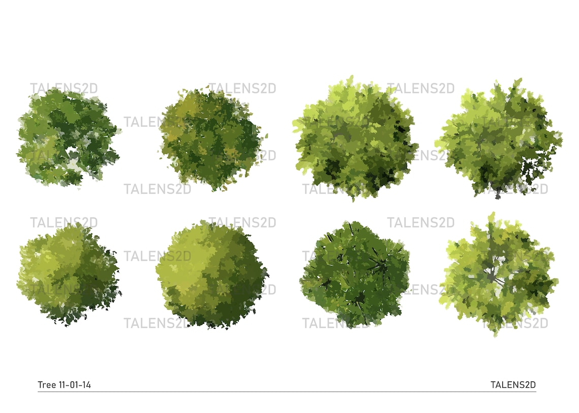 Tree Top View, 2D Landscape Clipart in PNG - Etsy