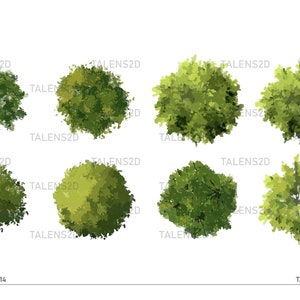 Tree Top View, 2D Landscape Clipart in PNG - Etsy