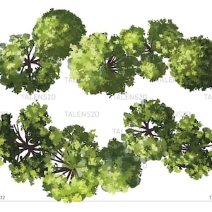 Tree Top View, 2D Landscape Clipart in PNG - Etsy