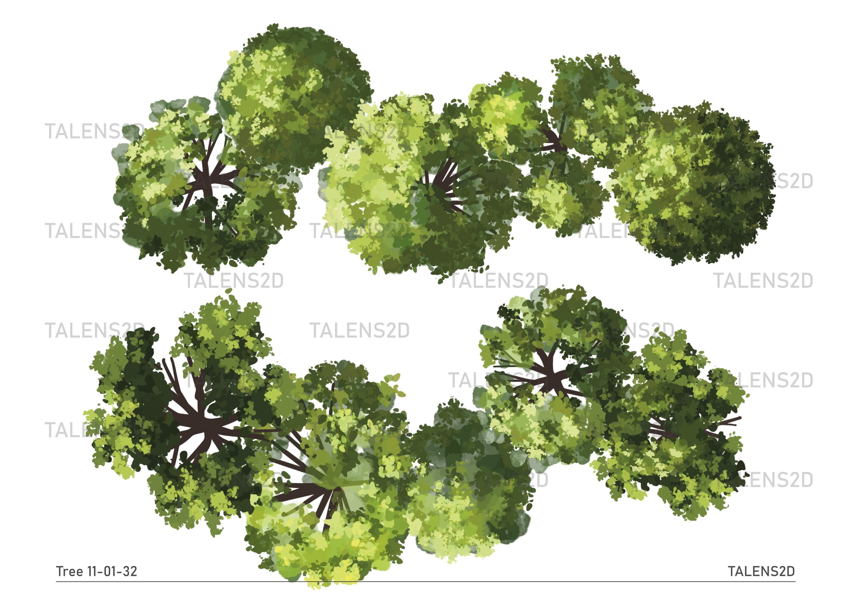 Tree Top View, 2D Landscape Clipart in PNG - Etsy