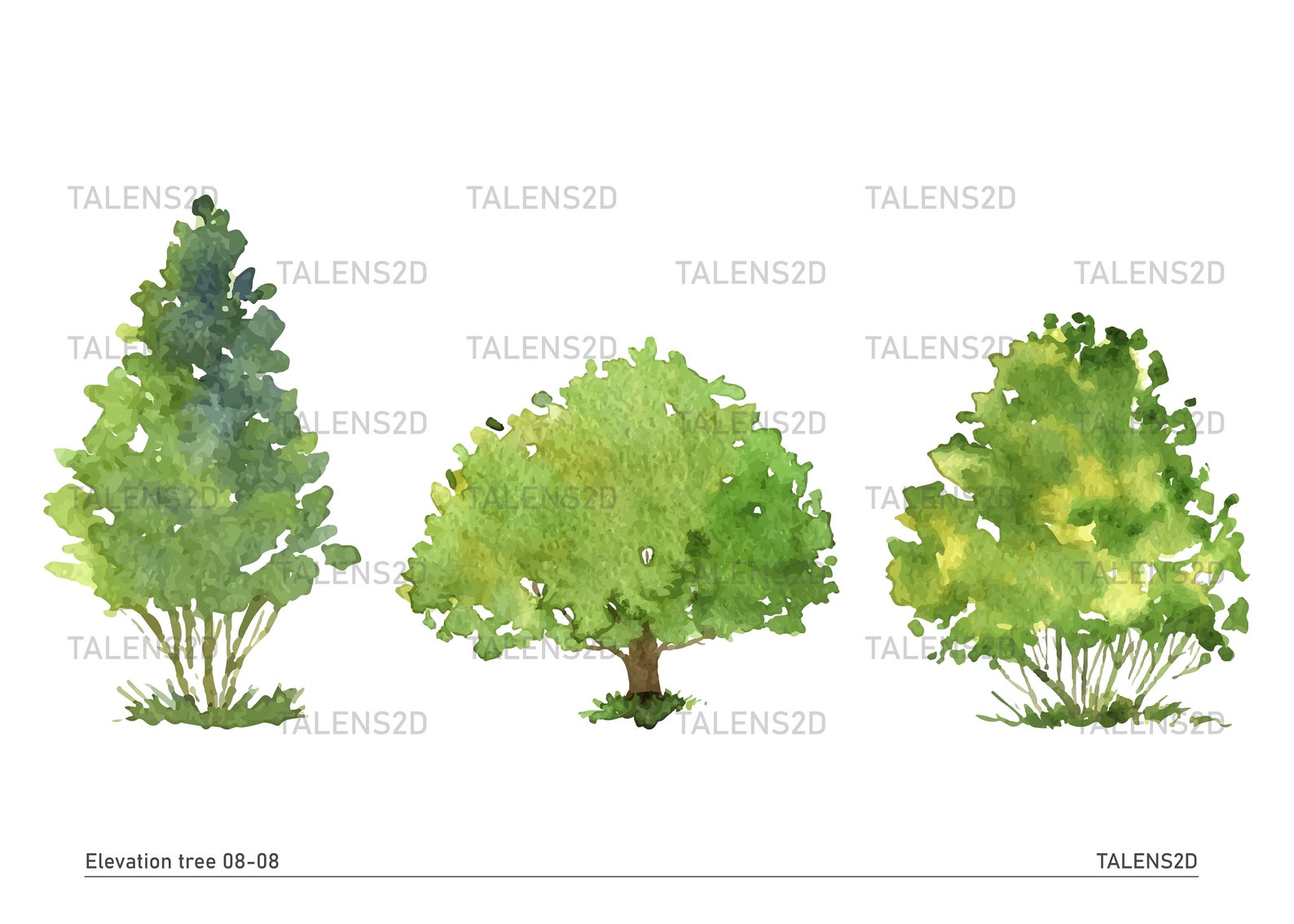 Watercolor Trees Clipart | Painted Tree Clipart | PNG Graphics ...