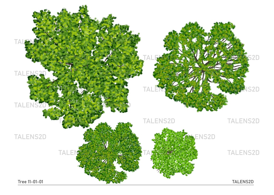 Tree Top View, 2D Landscape Clipart in PNG - Etsy
