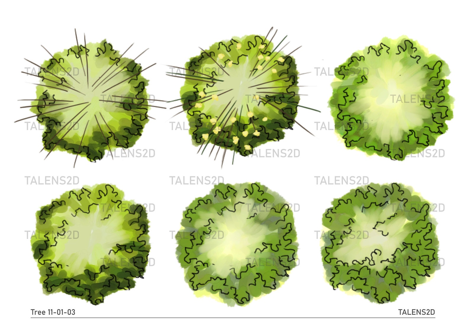 Tree Top View, 2D Landscape Clipart in PNG - Etsy