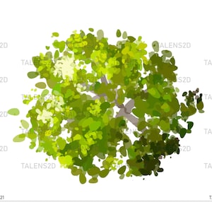 Tree Top View, 2D Landscape Clipart in PNG - Etsy