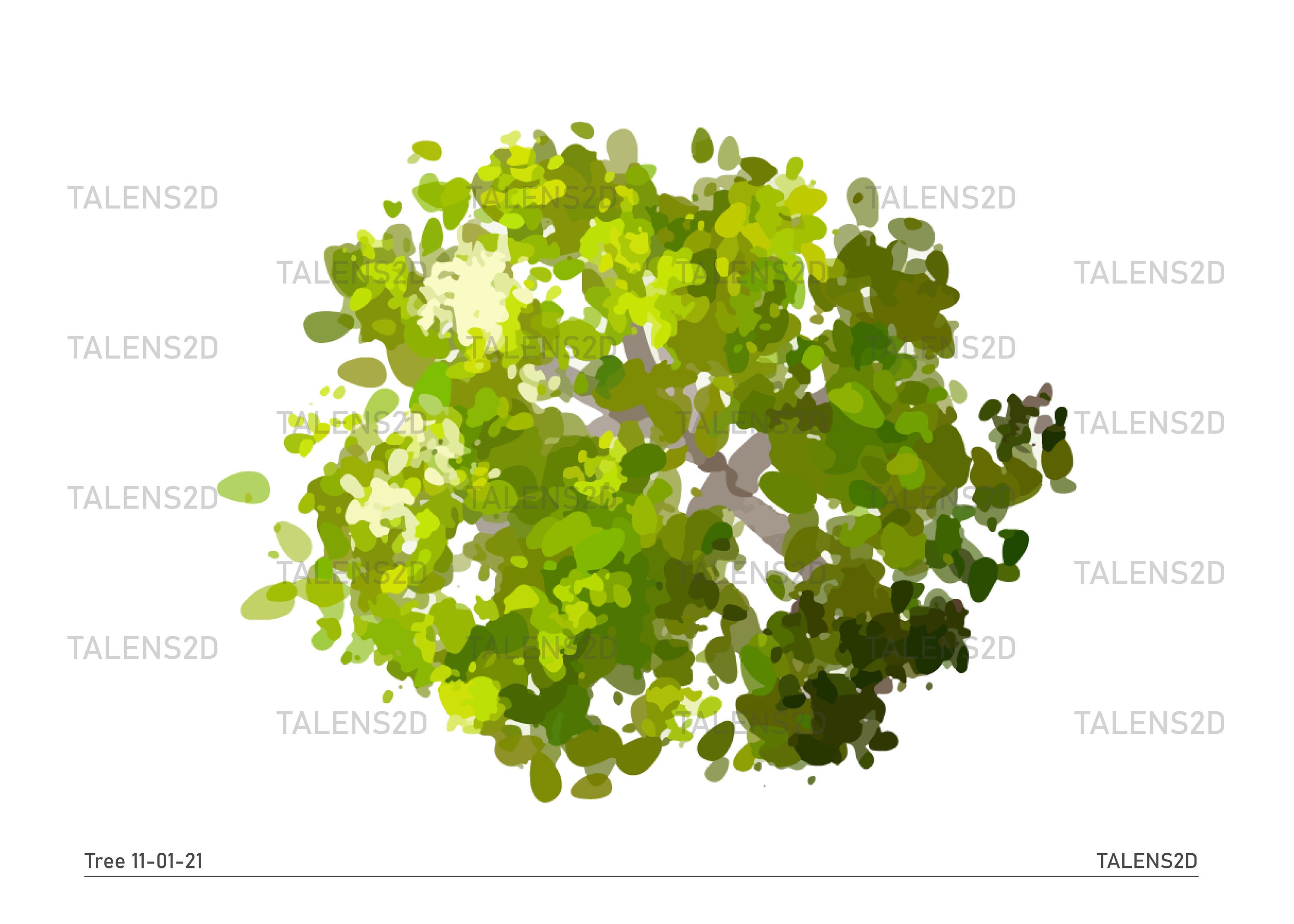 Tree Top View, 2D Landscape Clipart in PNG - Etsy