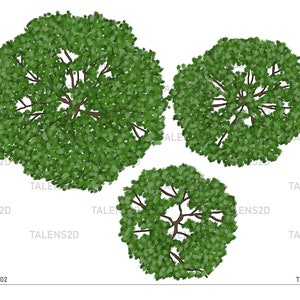 Tree Top View, 2D Landscape Clipart in PNG - Etsy