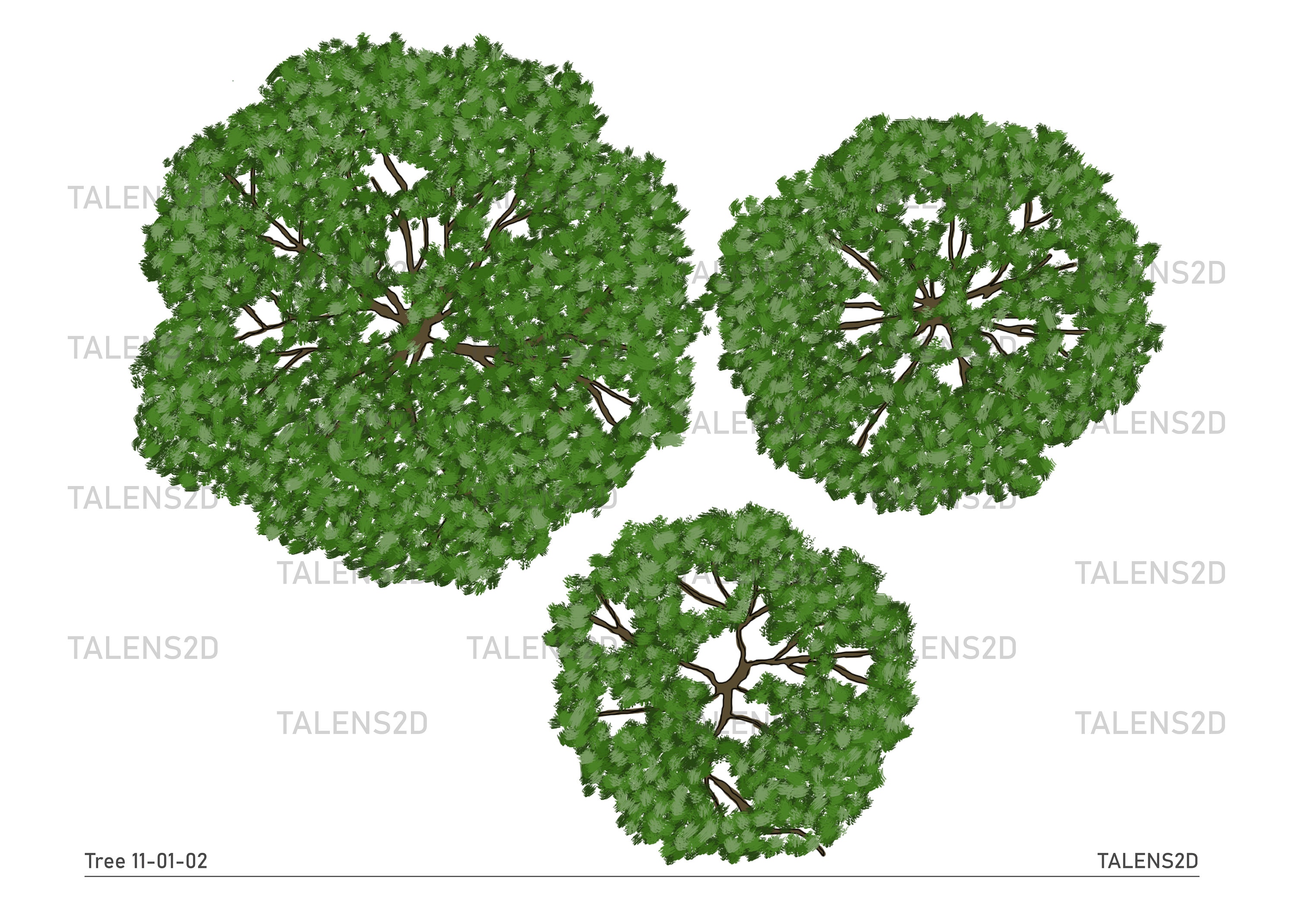 Tree Top View, 2D Landscape Clipart in PNG - Etsy