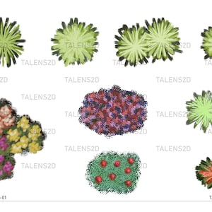 Plant Top View, 2D Landscape Clipart in PNG - Etsy