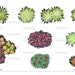 Plant Top View, 2D Landscape Clipart in PNG - Etsy