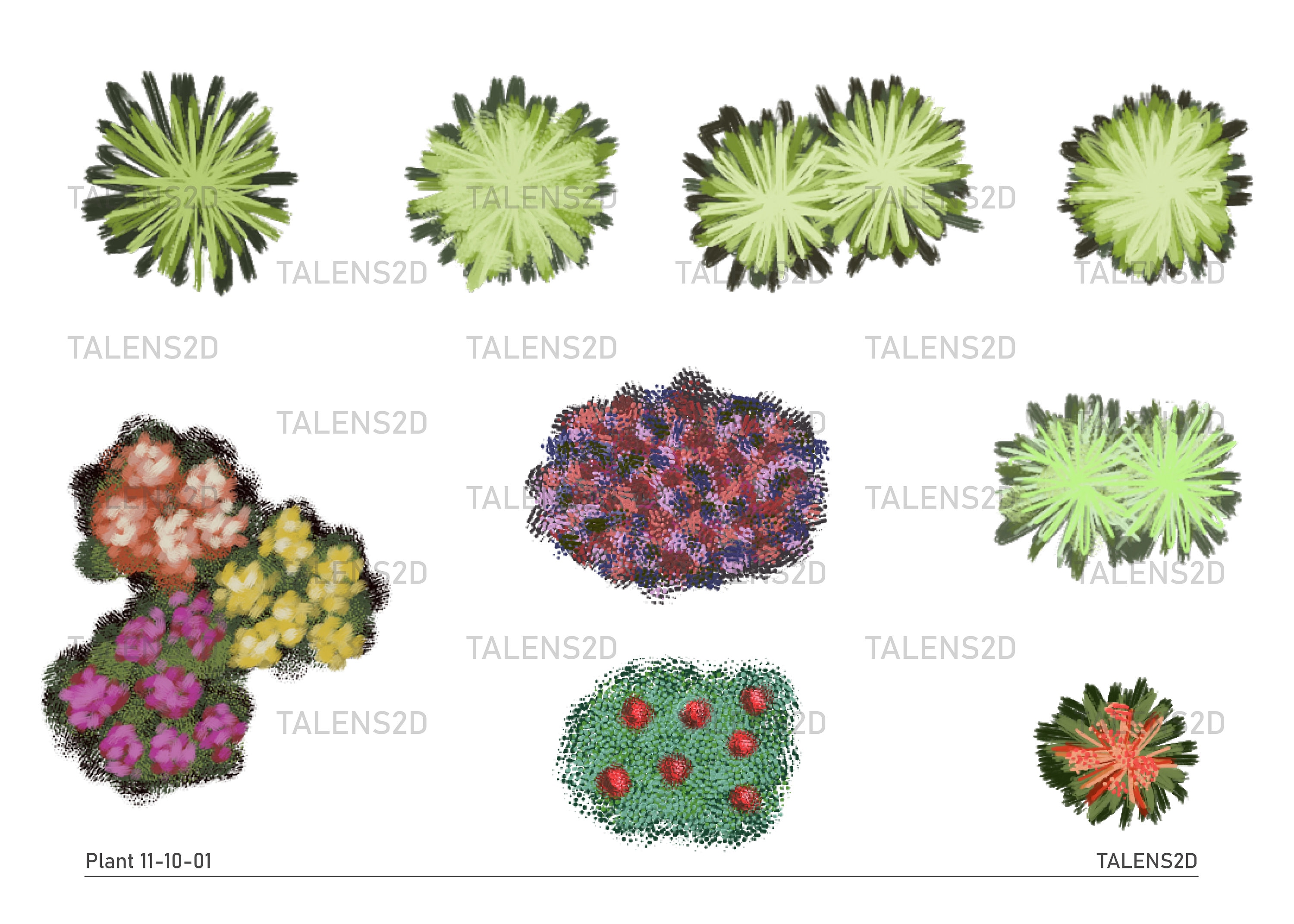 Plant Top View, 2D Landscape Clipart in PNG - Etsy