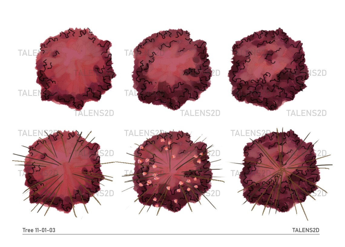 Tree Top View, 2D Landscape Clipart in PNG - Etsy