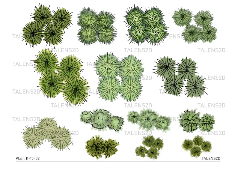 Landscape Architecture Plants: Hand-painted Top View Symbols (PNG Files ...