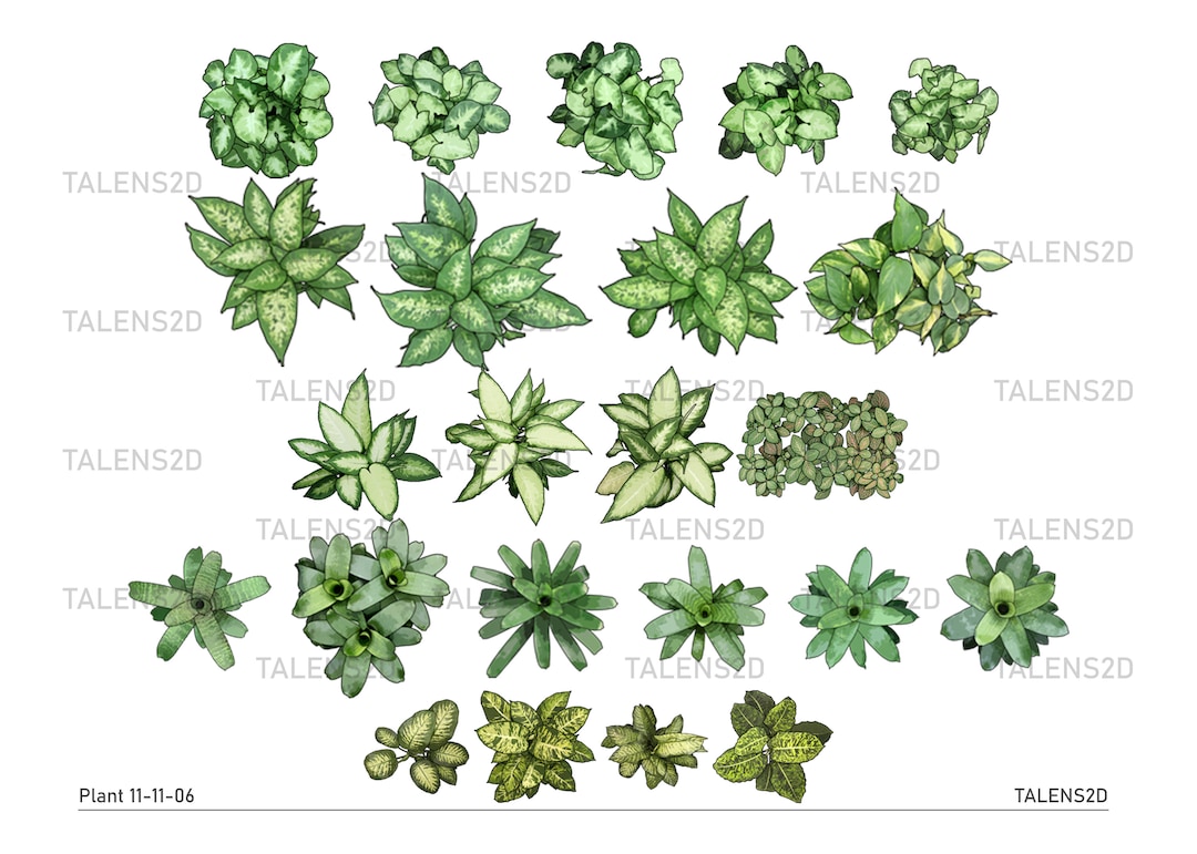 Hand Painted Plant Top View Symbols: Landscape Architecture (PNG Files ...