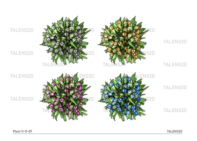 Plant Top View, Landscape Plants, Hand Painted Plant Top Symbols for ...
