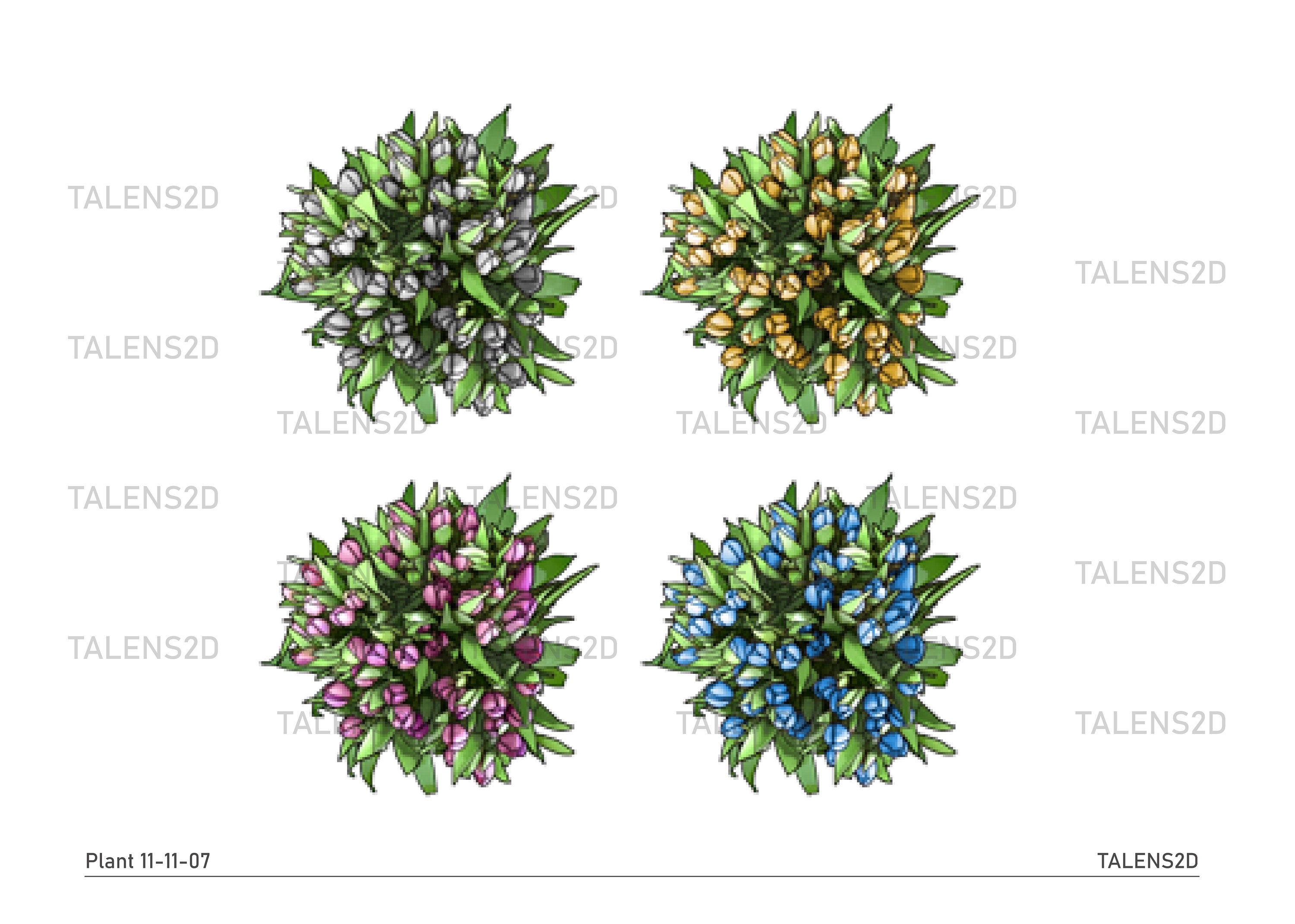 Plant Top View, Landscape Plants, Hand Painted Plant Top Symbols for ...
