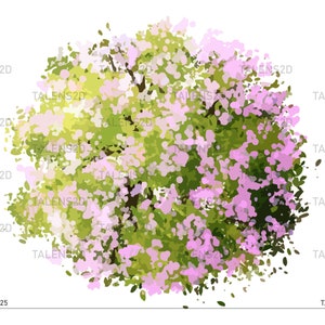 Tree Top View, 2D Landscape Clipart in PNG - Etsy