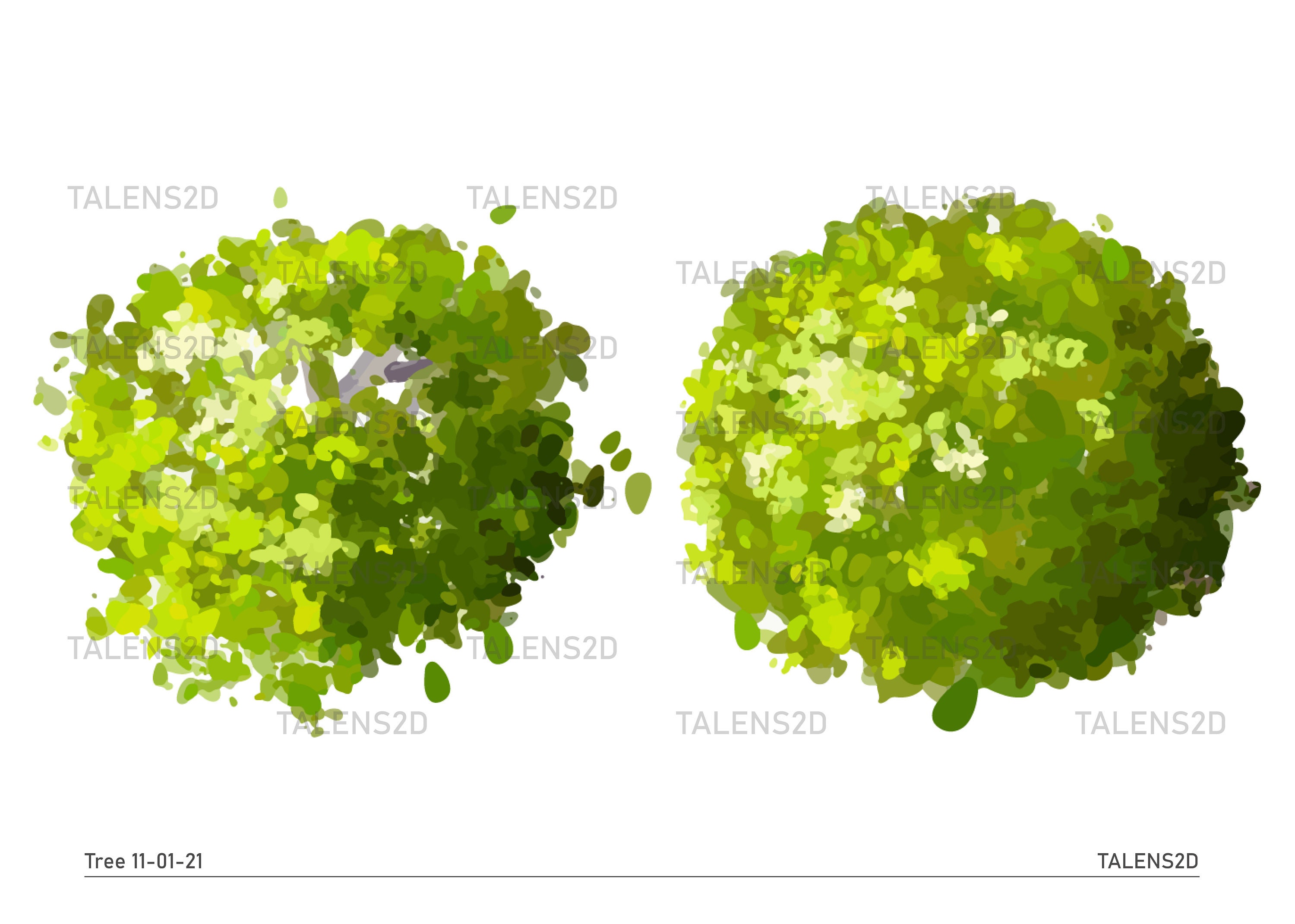 Tree Top View, 2D Landscape Clipart in PNG - Etsy