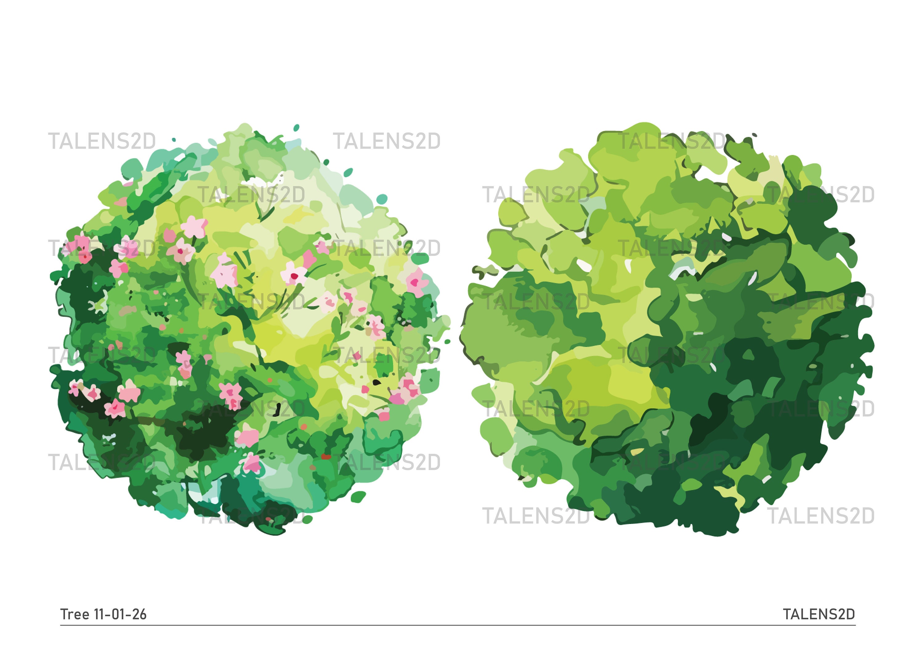 Watercolor Trees Clipart | Painted Tree Clipart | PNG Graphics ...