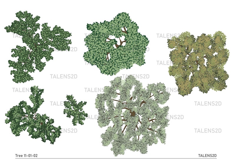 Tree Top View, 2D Landscape Clipart in PNG - Etsy