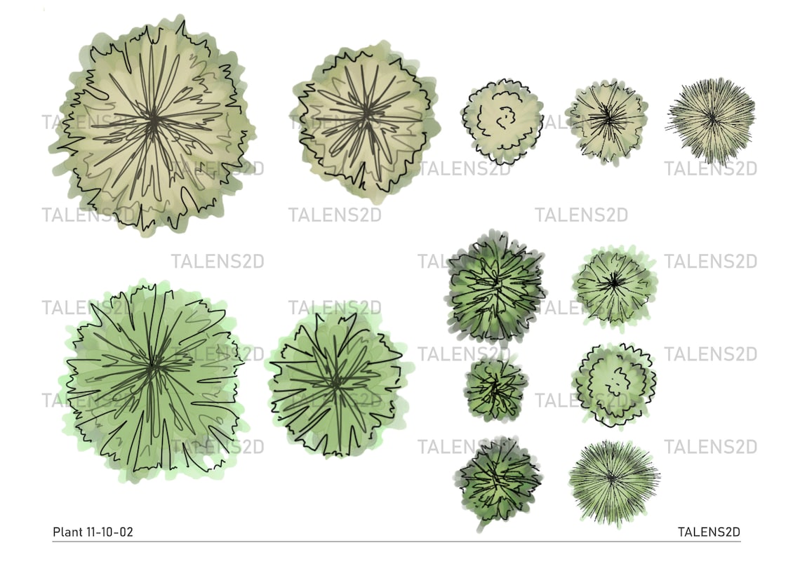 Landscape Architecture Plants: Hand-painted Top View Symbols (PNG Files ...