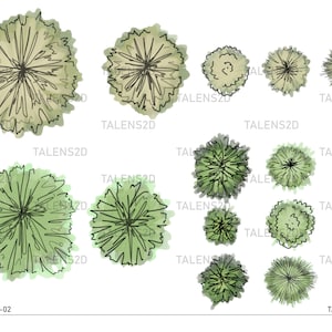Landscape Architecture Plants: Hand-painted Top View Symbols (PNG Files ...