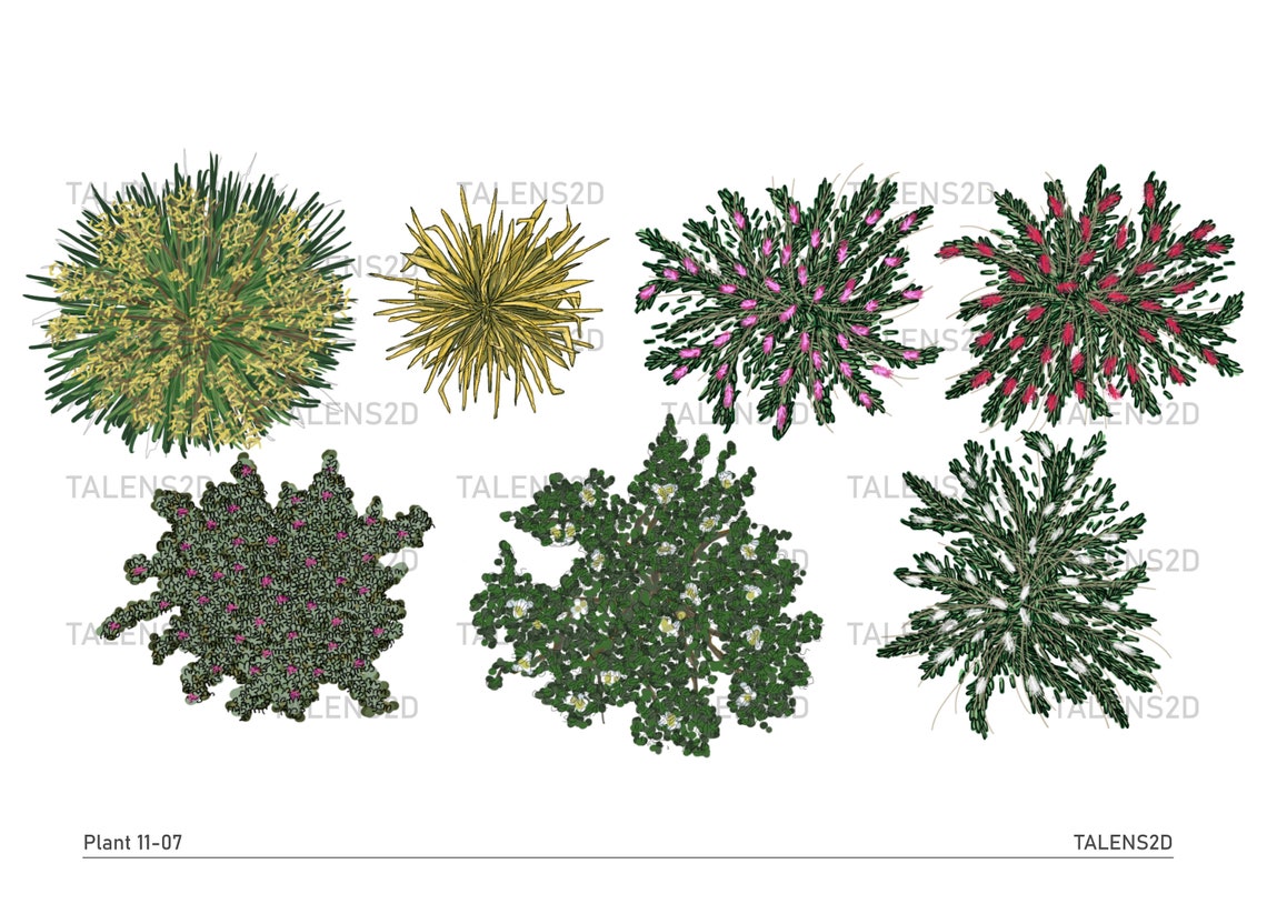Plant Top View, 2D Landscape Clipart in PNG - Etsy
