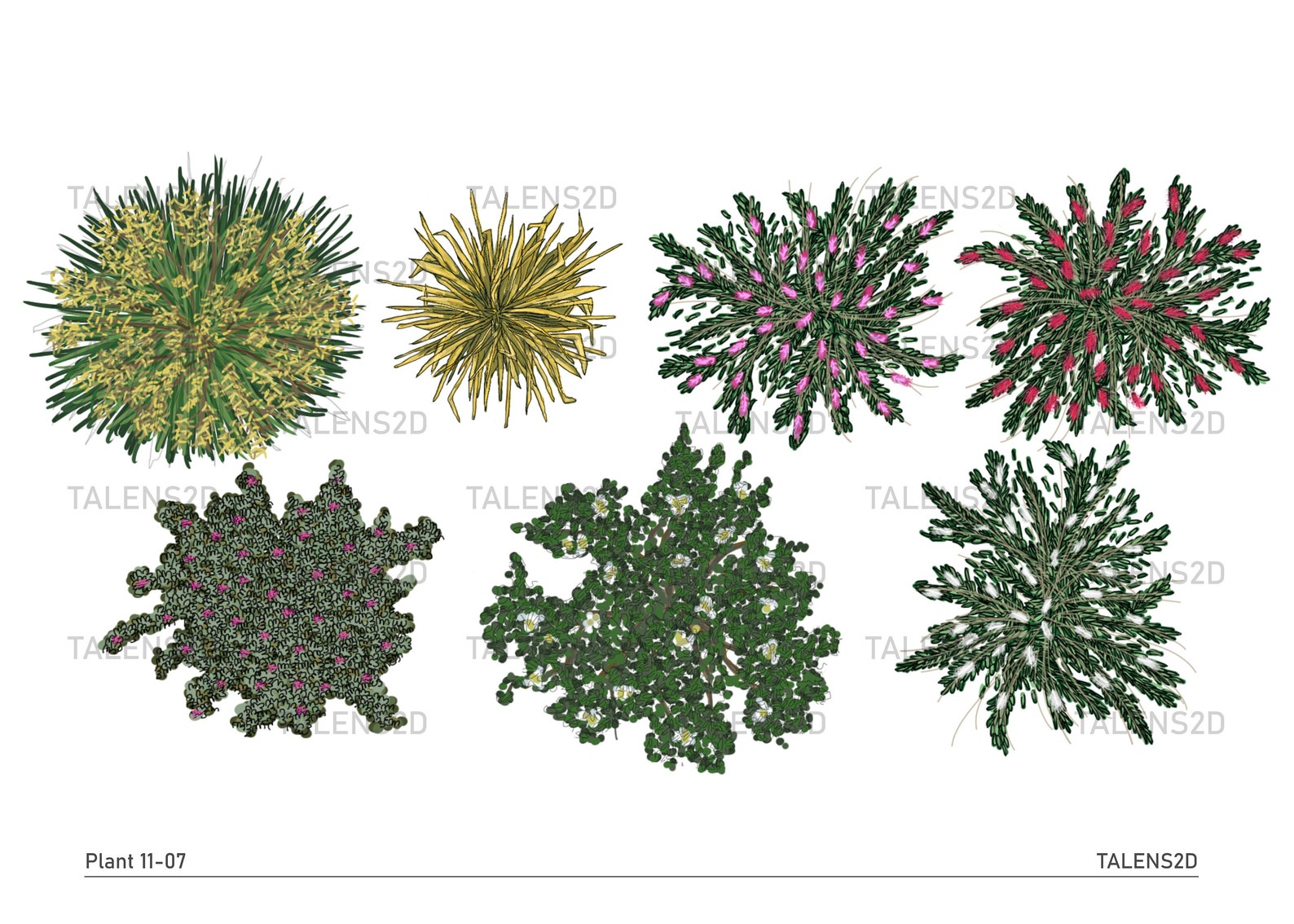 Plant Top View, 2D Landscape Clipart in PNG - Etsy