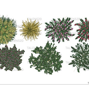 Plant Top View, 2D Landscape Clipart in PNG - Etsy