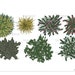 Plant Top View, 2D Landscape Clipart in PNG - Etsy