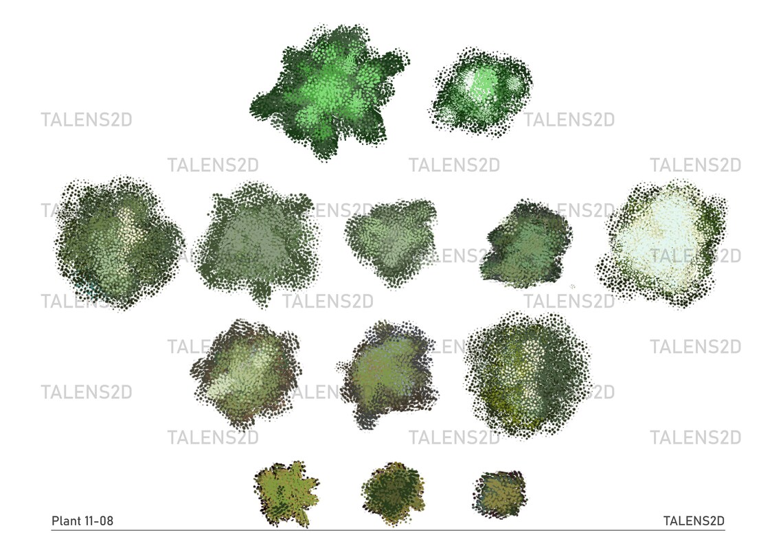 Plant Top View, 2D Landscape Clipart in PNG - Etsy
