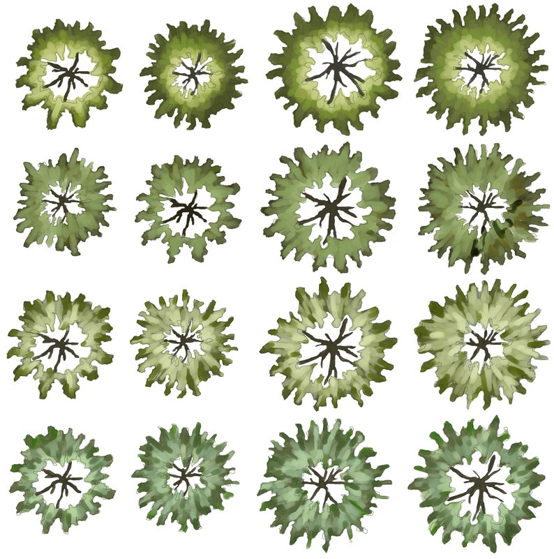 Tree Top View 2D Landscape Top View for Floor Plans PNG - Etsy UK