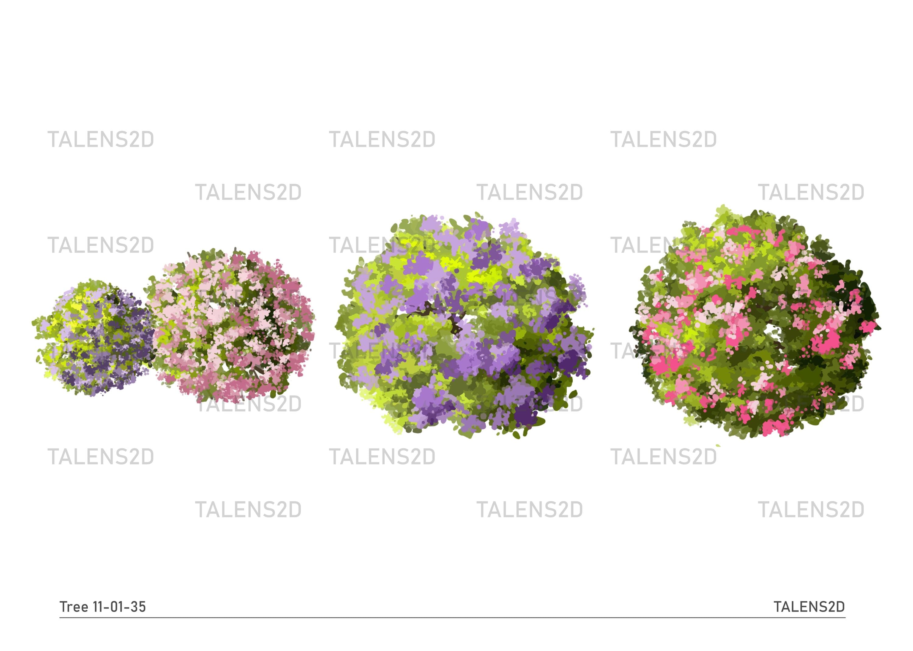 Tree Top View, 2D Landscape Clipart in PNG - Etsy