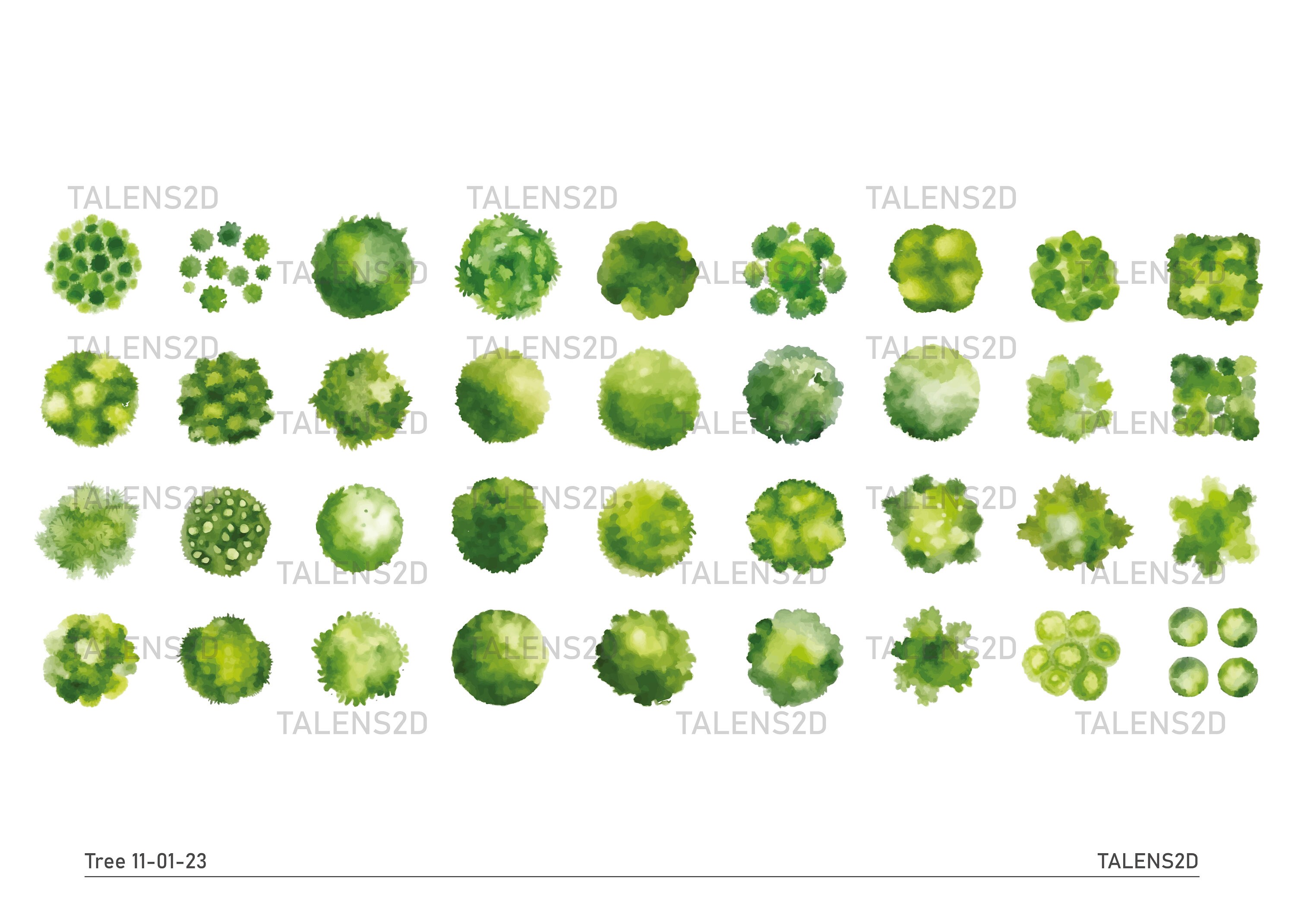 Tree Top View, 2D Landscape Clipart in PNG - Etsy