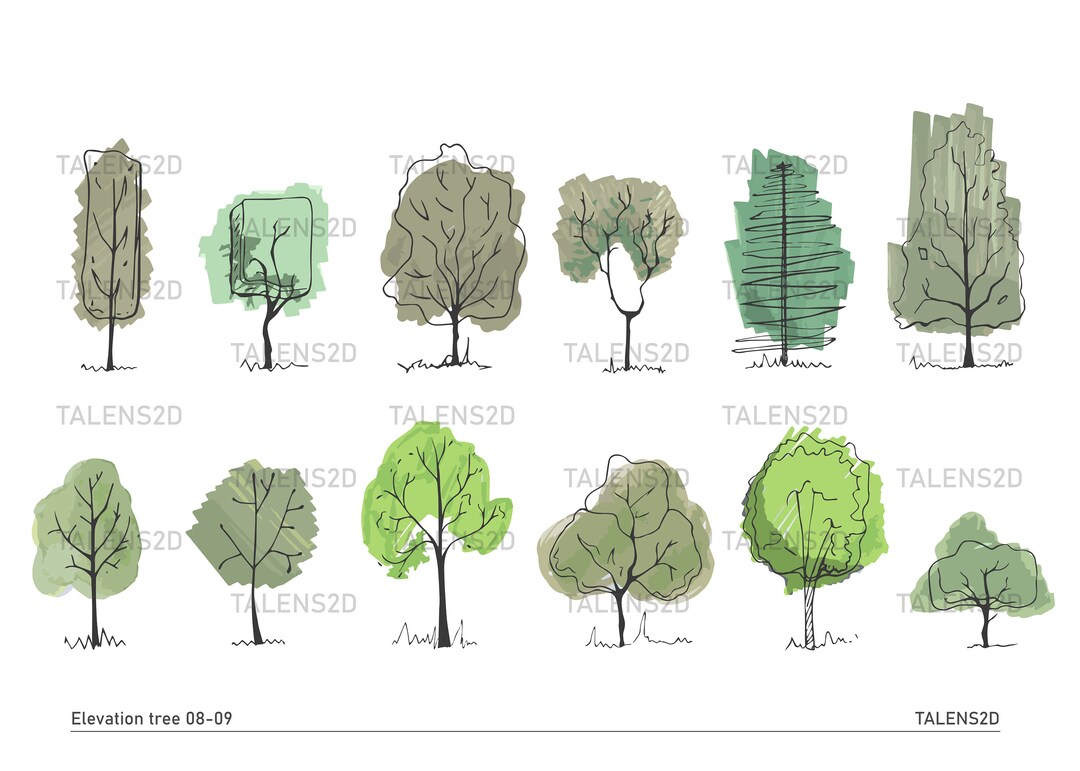 Watercolor Trees Clipart | Painted Tree Clipart | PNG Graphics ...
