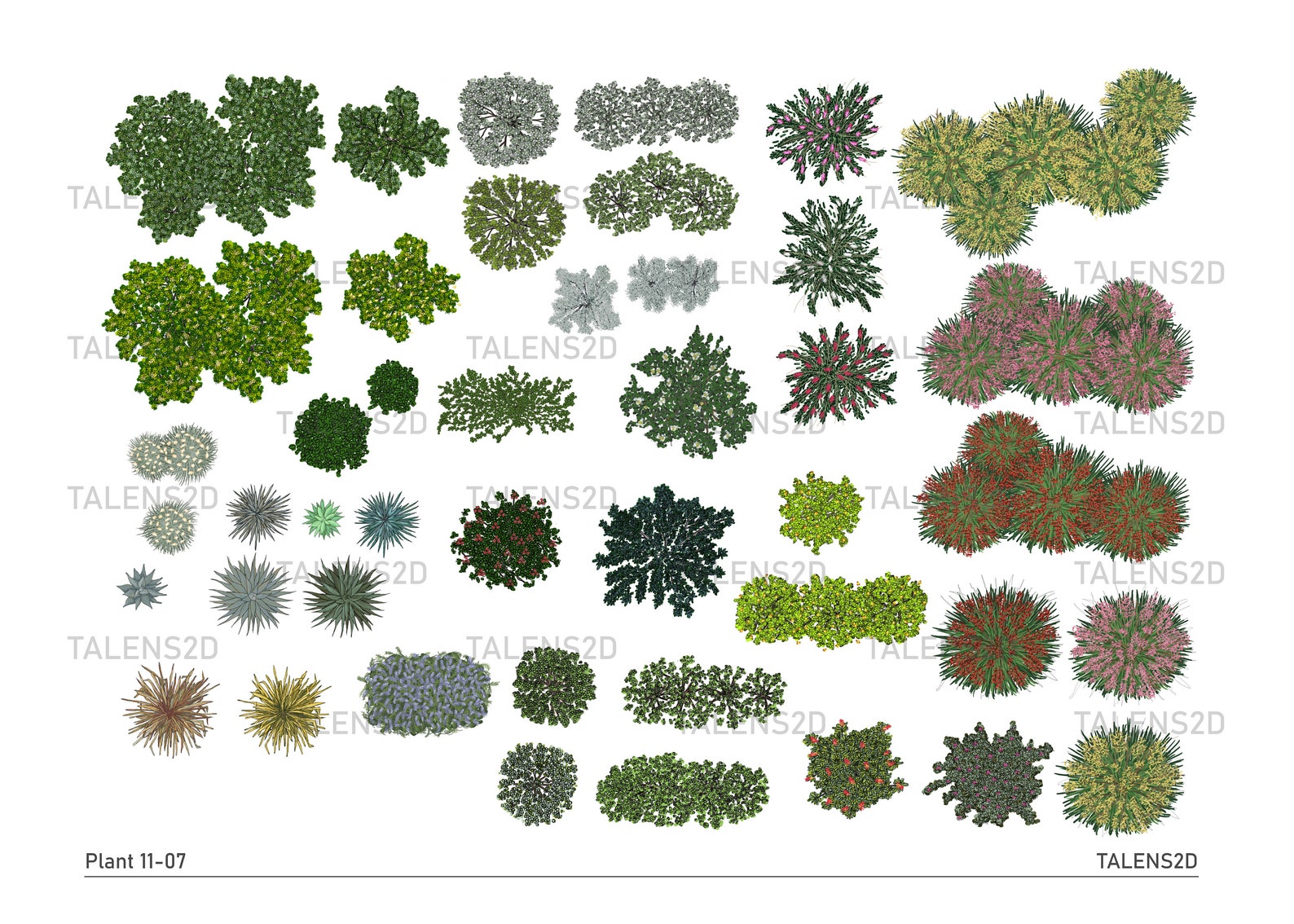 Plant Top View, 2D Landscape Clipart in PNG - Etsy