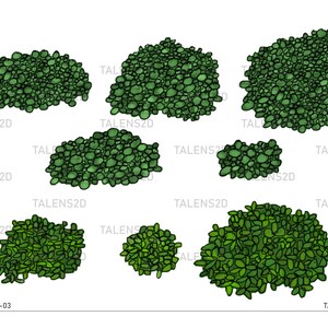 Plant Top View, 2D Landscape Clipart in PNG - Etsy