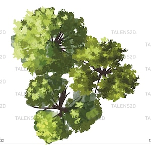 Tree Top View, 2D Landscape Clipart in PNG - Etsy