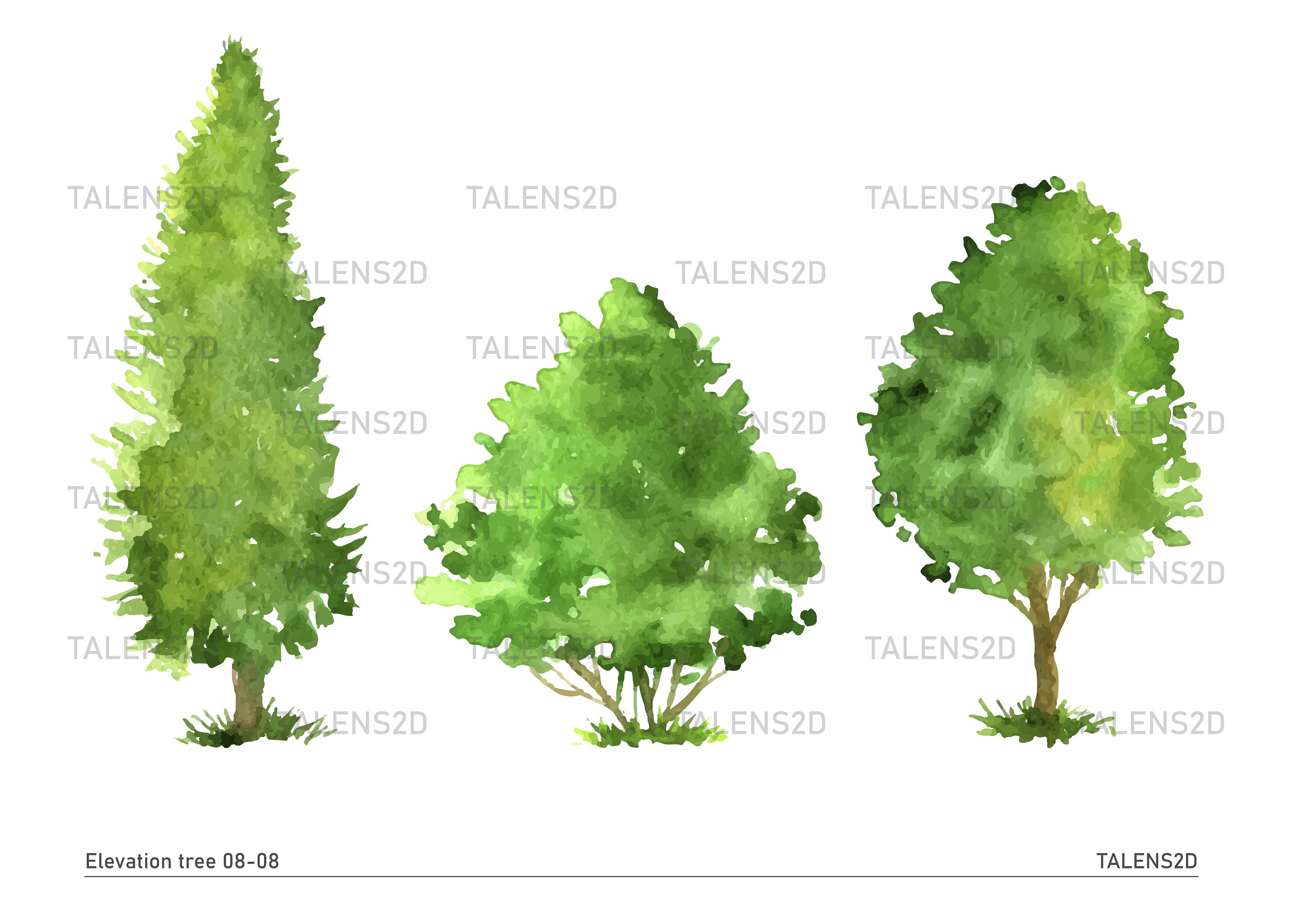 Watercolor Trees Clipart Painted Tree Clipart PNG Graphics Instant ...