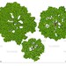 Tree Top View, 2D Landscape Clipart in PNG - Etsy