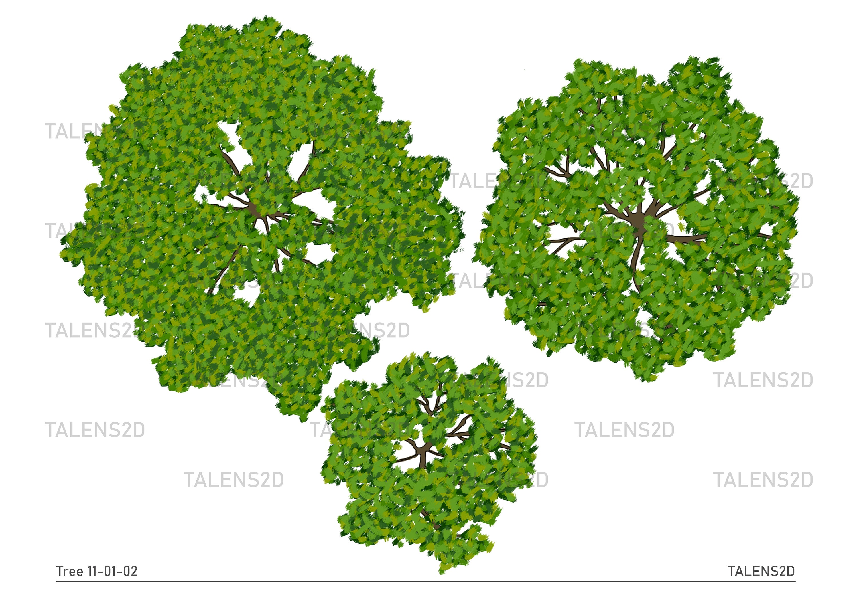 Tree Top View, 2D Landscape Clipart in PNG - Etsy