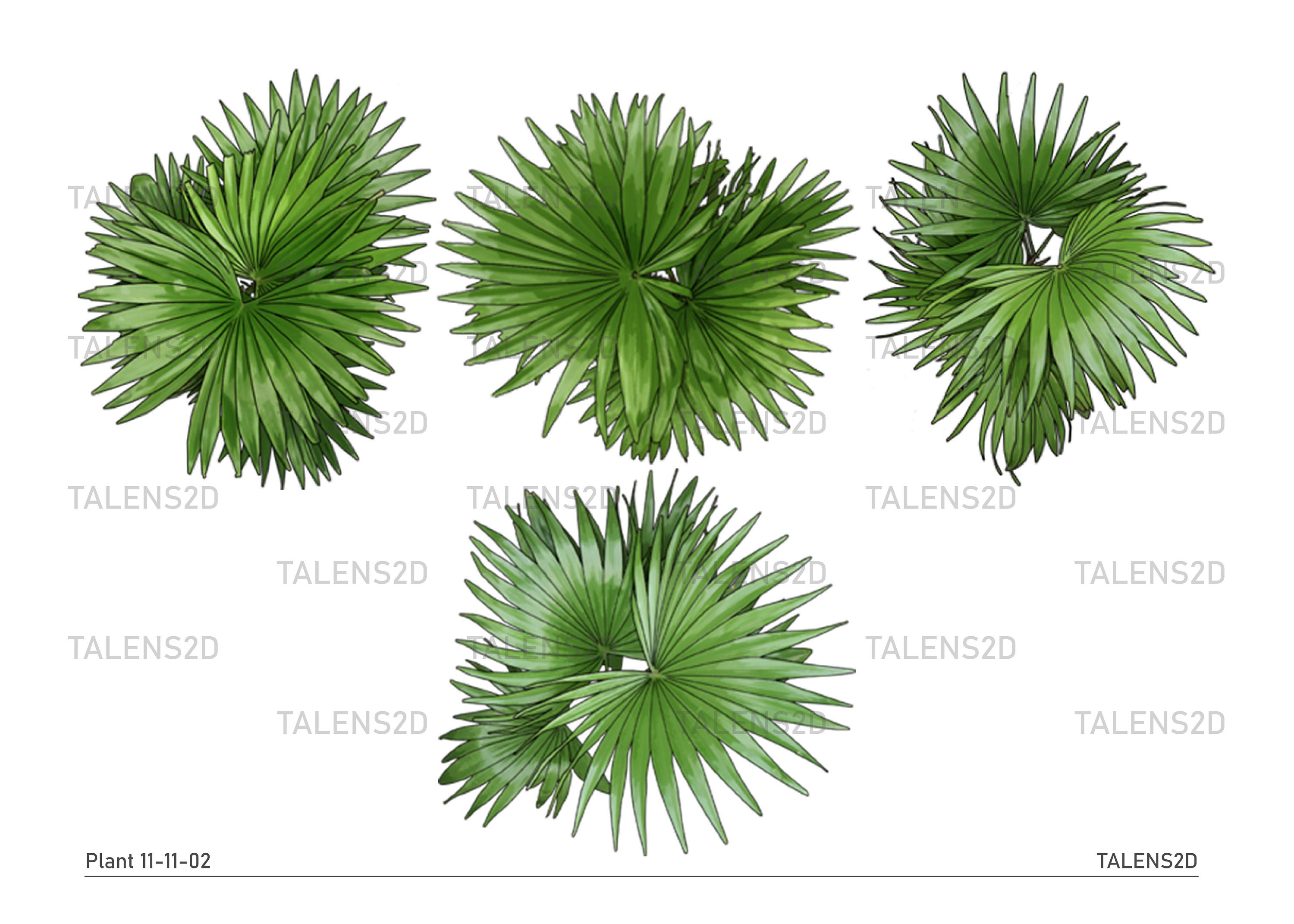 Plant Top View, Landscape Plants, Hand Painted Plant Top Symbols for ...