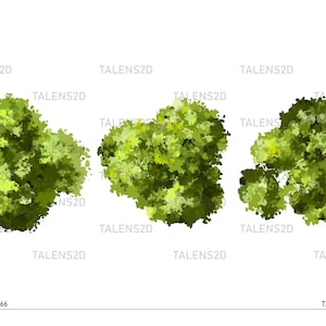 Tree Top View, 2D Landscape Clipart in PNG - Etsy