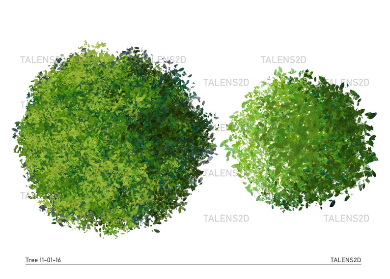 Tree Top View, 2D Landscape Clipart in PNG - Etsy