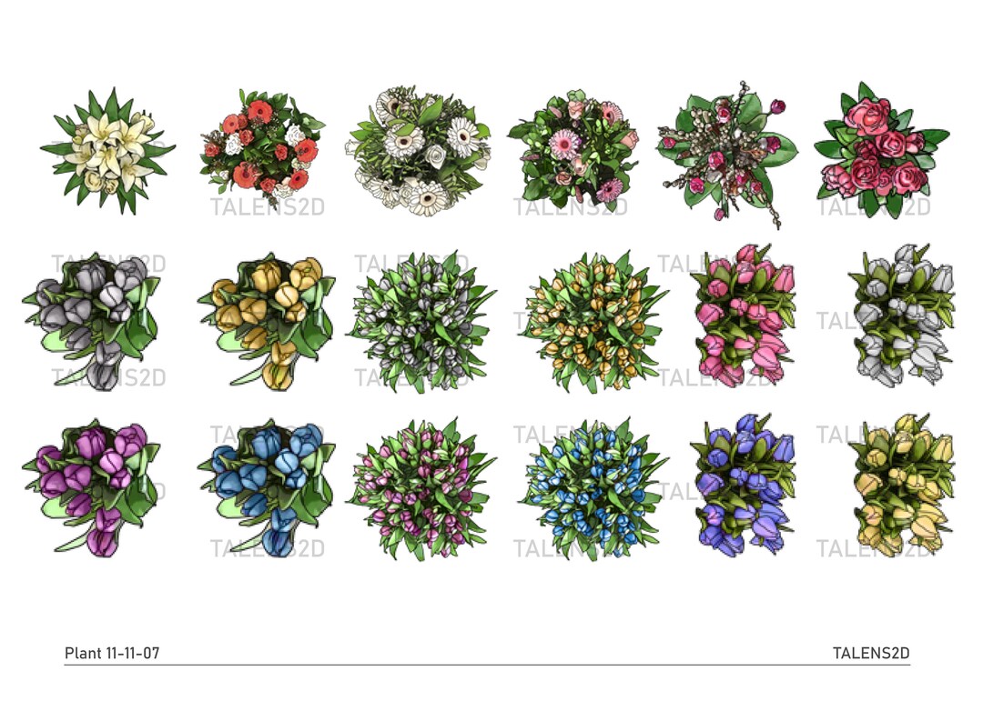 Plant Top View, Landscape Plants, Hand Painted Plant Top Symbols for ...