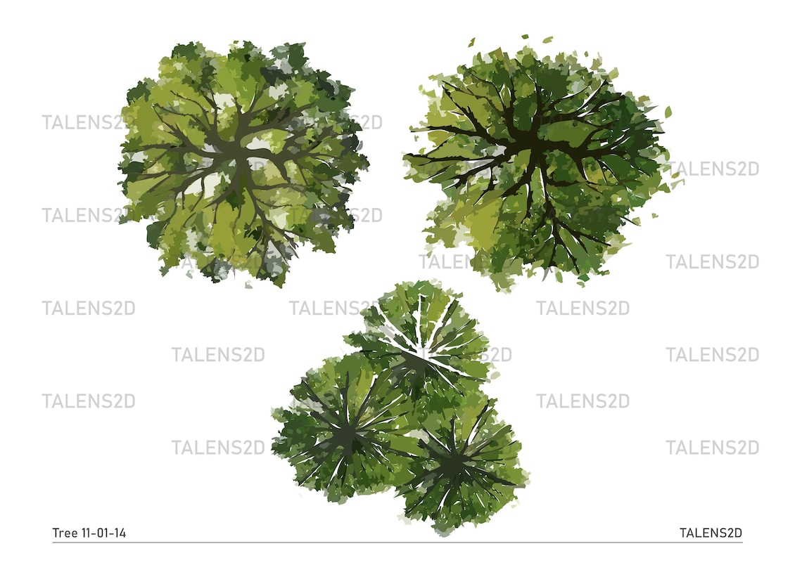 Tree Top View, 2D Landscape Clipart in PNG - Etsy