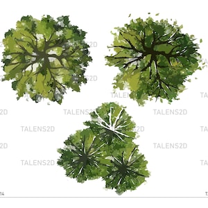 Tree Top View, 2D Landscape Clipart in PNG - Etsy