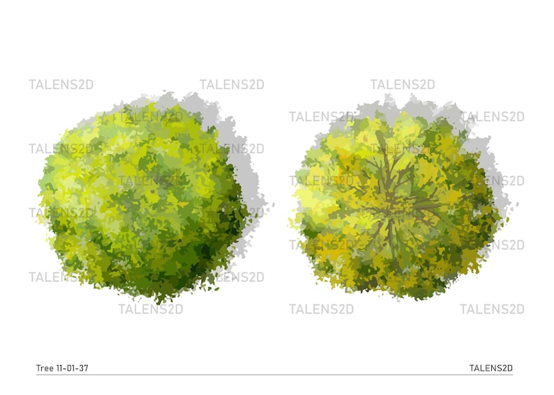 Tree Top View, 2D Landscape Clipart in PNG - Etsy