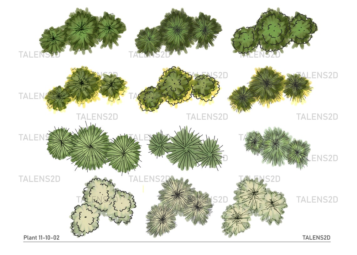 Plant Top View, Landscape Plants, Hand Painted Plant Top Symbols for ...